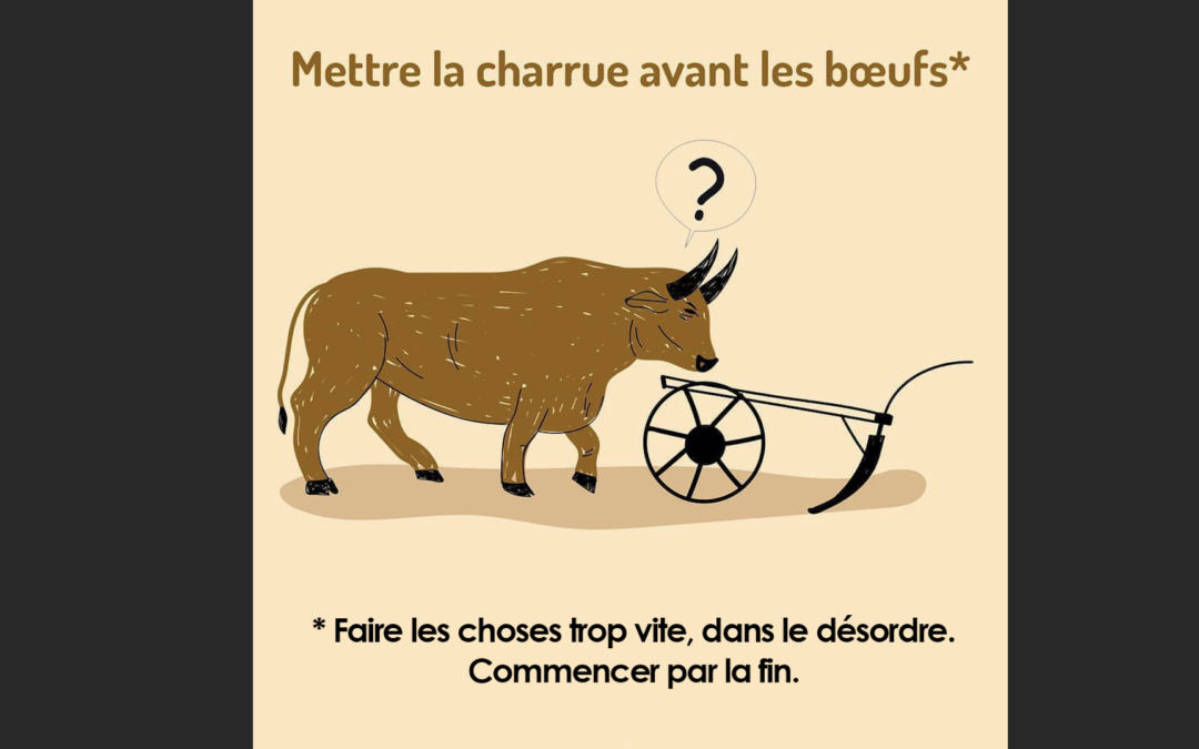 Énergies : La charrue avant les bœufs. - Fabrice Brun